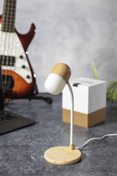 Multifunction Lamp Lars