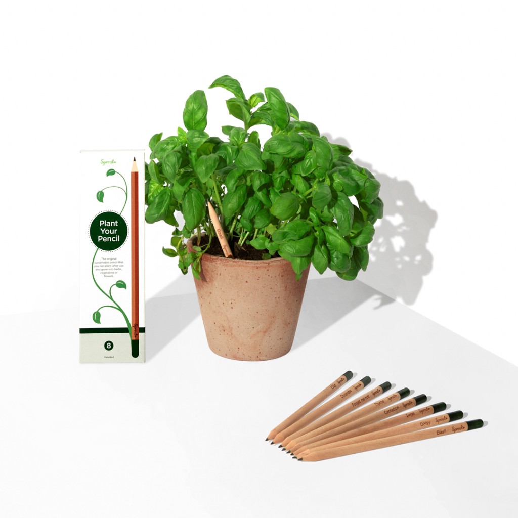 Lápis que se planta | Original Sprout™