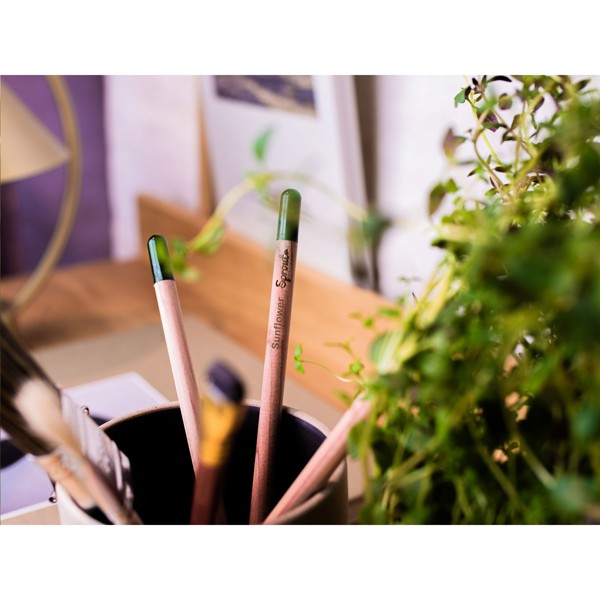 Original Sprout™. O lápis que se planta | Pens.pt