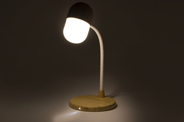 Multifunction Lamp Lars