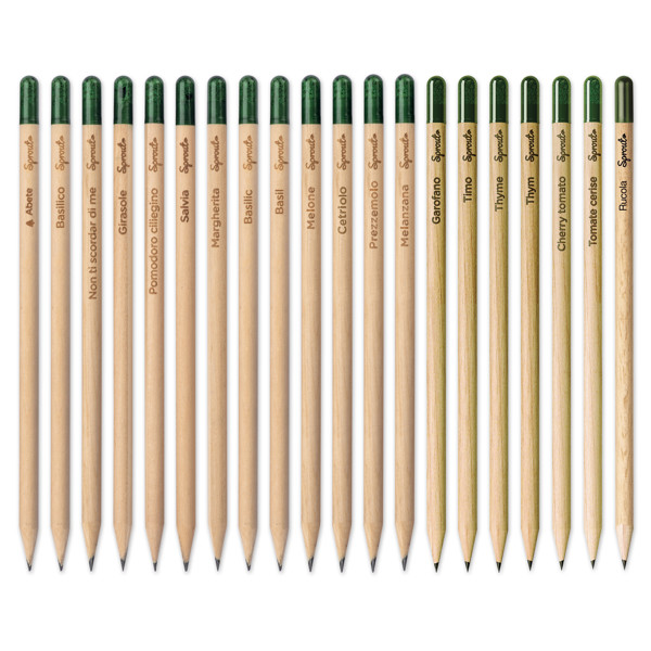 Sprout Pencil Made Of Sustainable Wood With Graphite Lead. Plantable ...