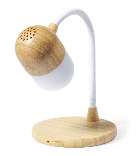 Multifunction Lamp Lars
